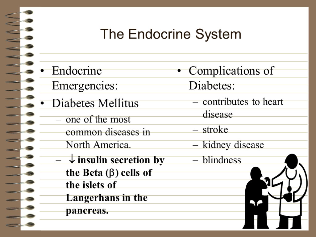 The Endocrine System Controls many body functions exerts