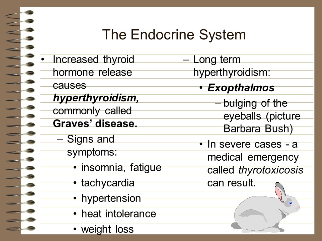 The Endocrine System Controls many body functions exerts