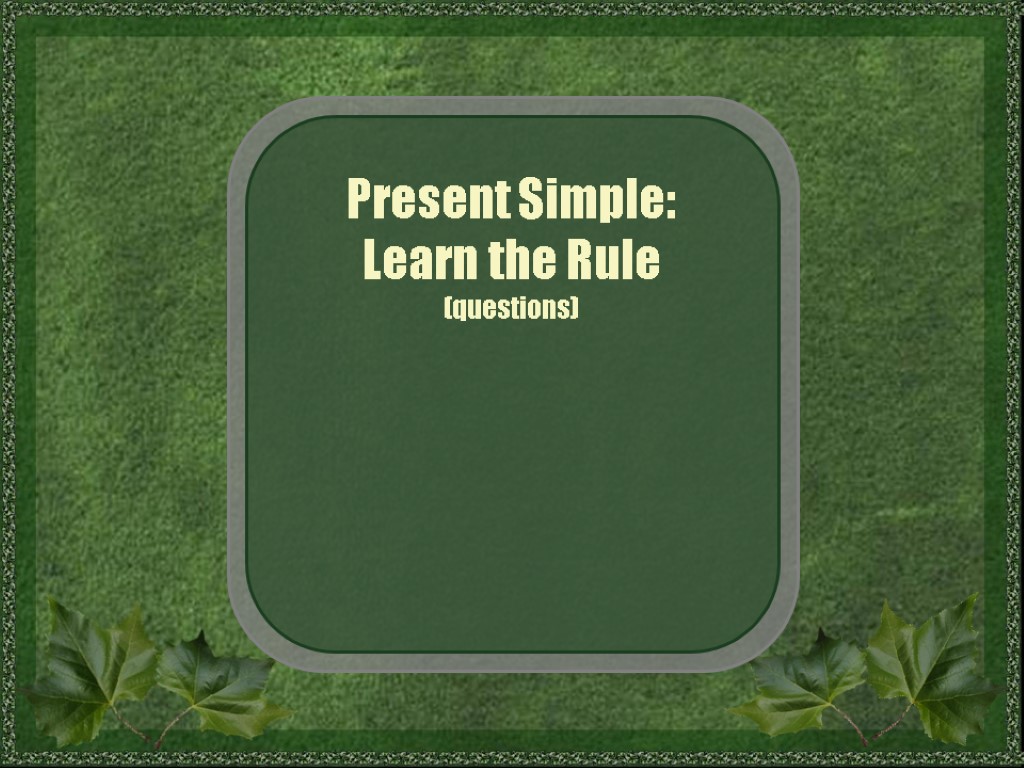 Present Simple: Learn the Rule (questions)Learn the rule