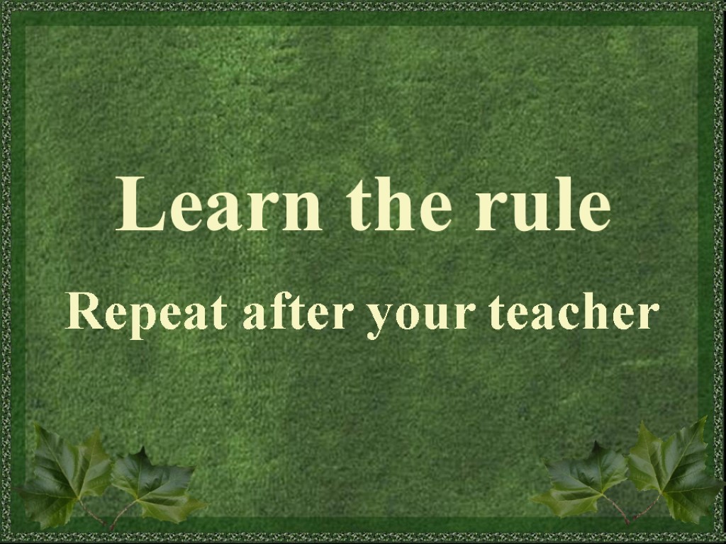 Present Simple: Learn the Rule (questions)Learn the rule