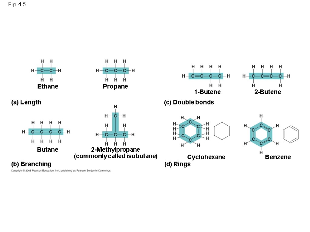 Chapter 4 Carbon and the Molecular Diversity of