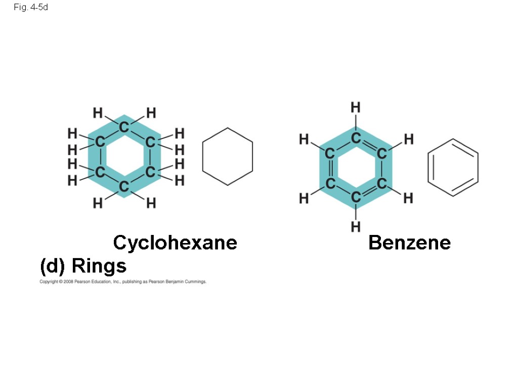 Chapter 4 Carbon and the Molecular Diversity of