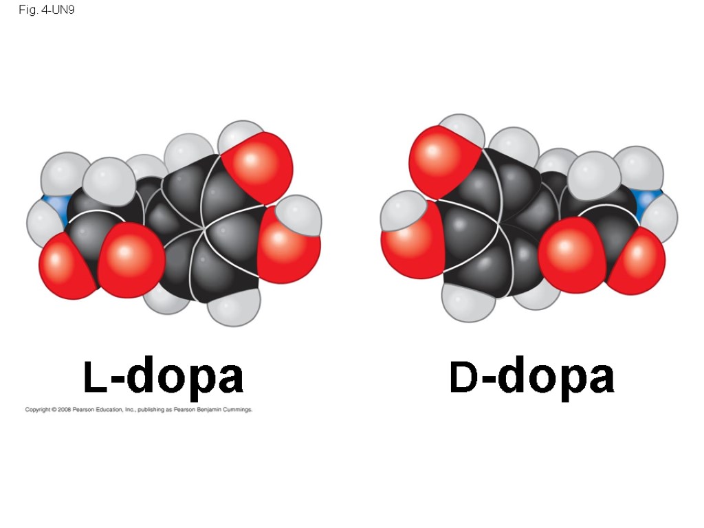 Chapter 4 Carbon and the Molecular Diversity of