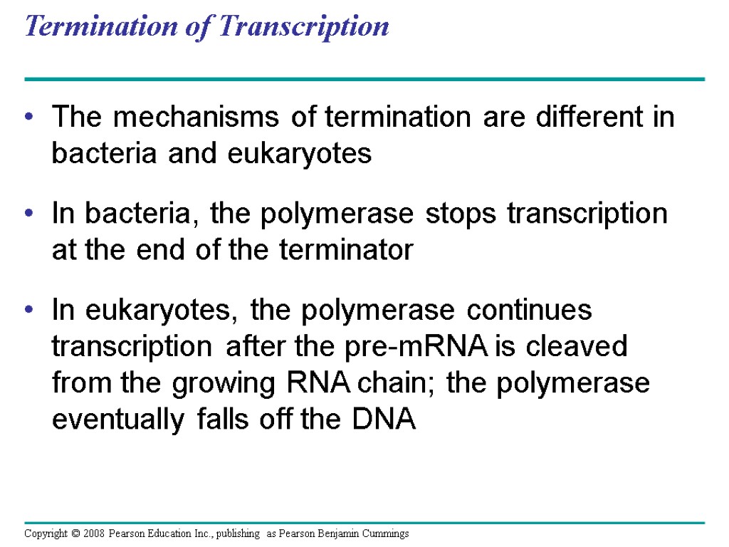 Chapter 17 From Gene to Protein. Overview: The