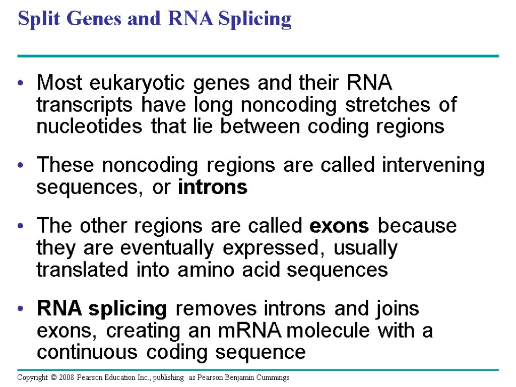 Chapter 17 From Gene to Protein. Overview: The