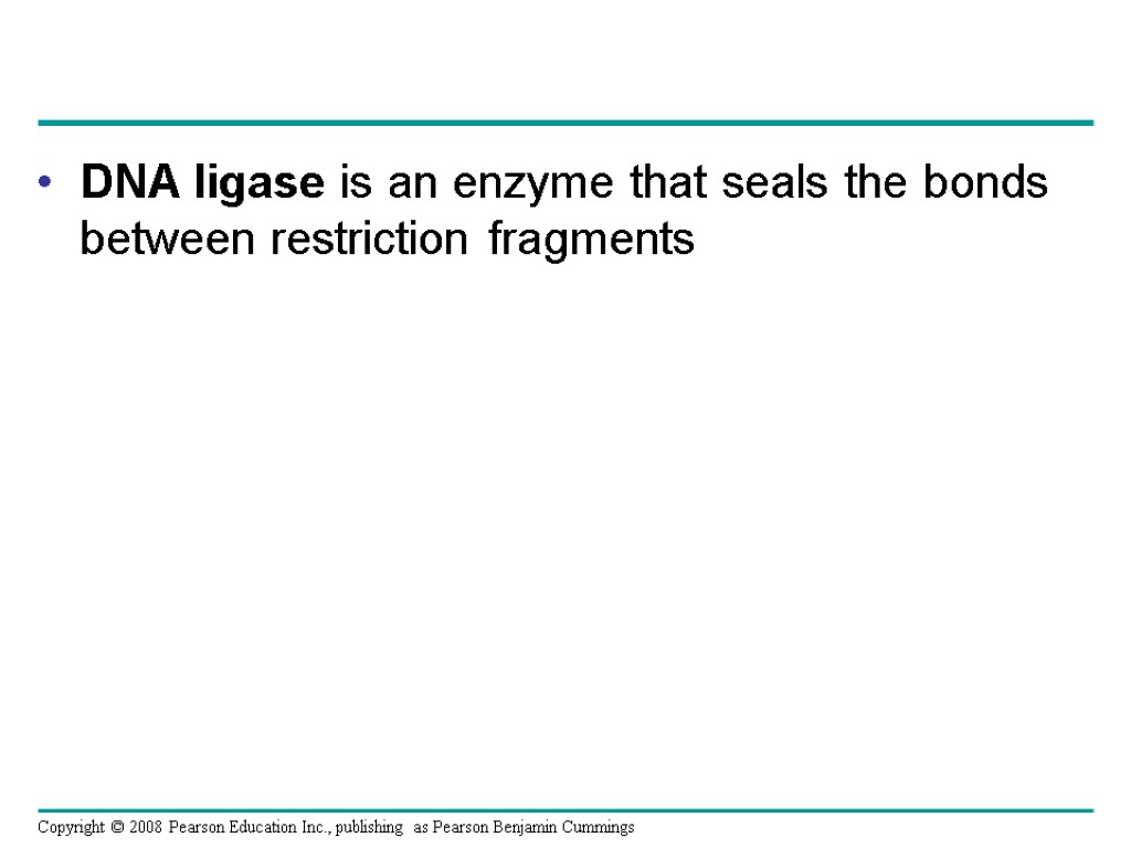 Chapter 20 Biotechnology. Overview: The DNA Toolbox Sequencing