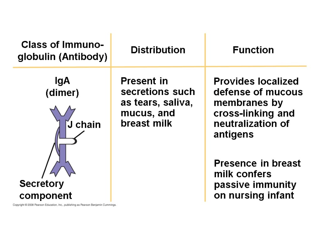 Chapter 43 The Immune System. Overview: Reconnaissance, Recognition,