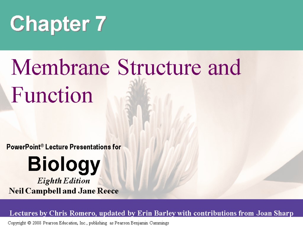 Chapter 7 Membrane Structure and Function. Overview: Life
