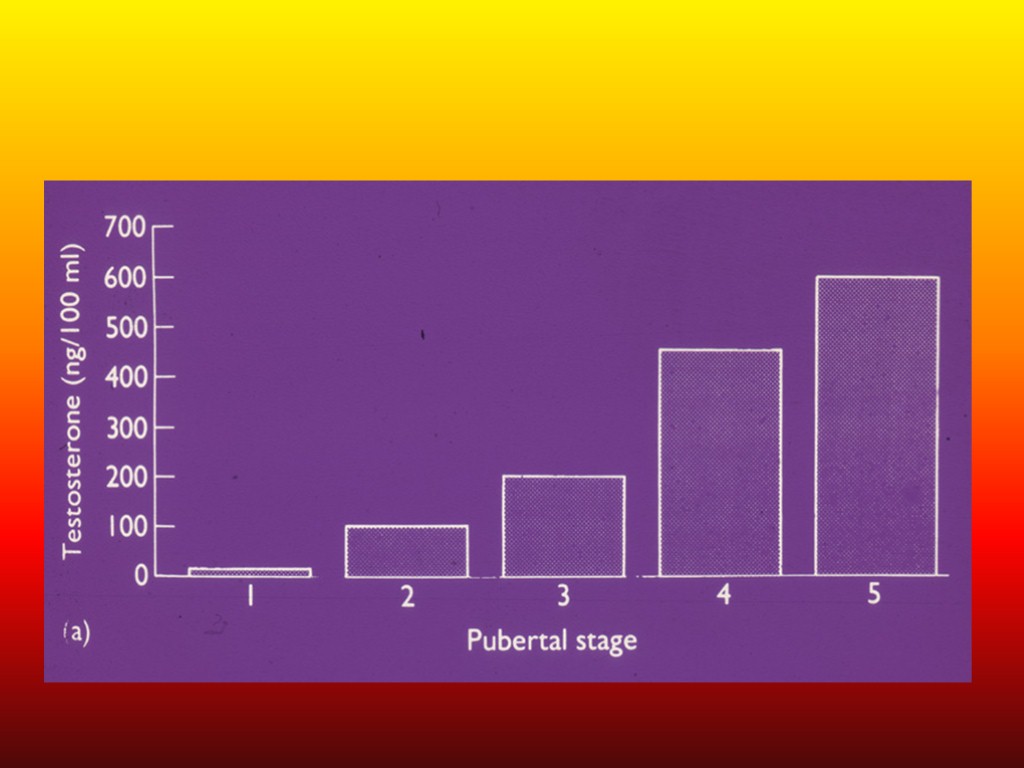 Features of sexual development in children Puberty