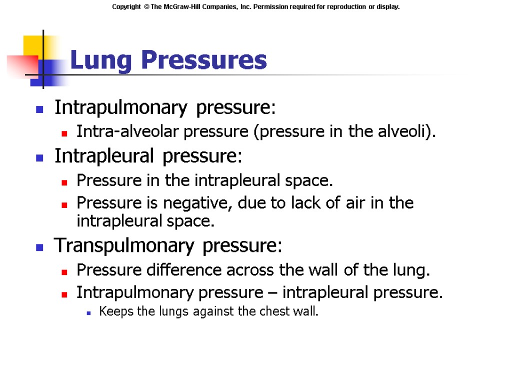 Respiratory Physiology. Respiration Includes 3 separate functions ...