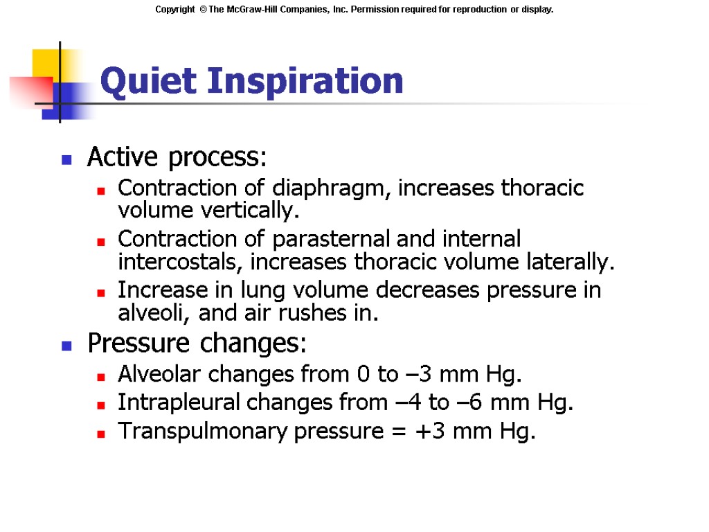 Respiratory Physiology. Respiration Includes 3 separate functions ...