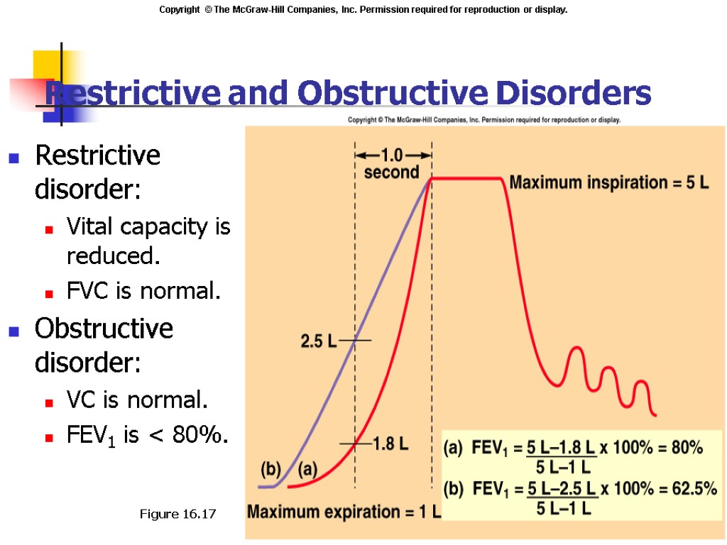 Respiratory Physiology. Respiration Includes 3 separate functions ...