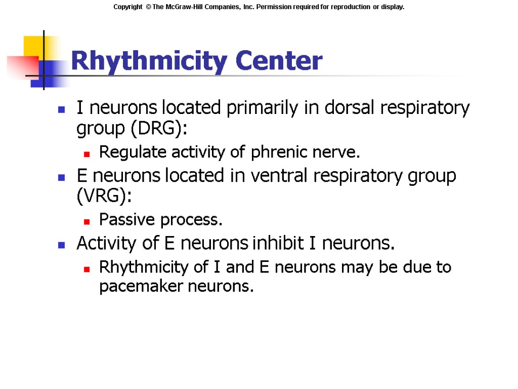 Respiratory Physiology. Respiration Includes 3 separate functions ...