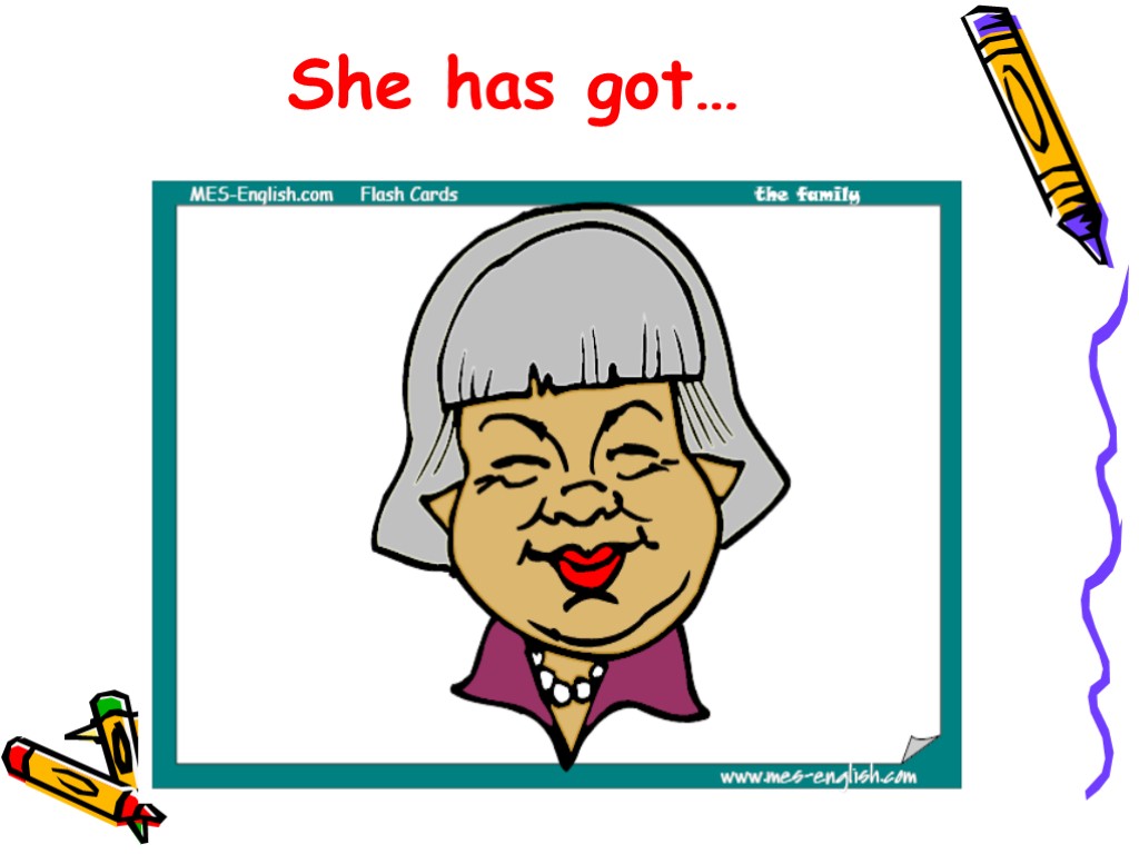 Have got / Has got. I have got