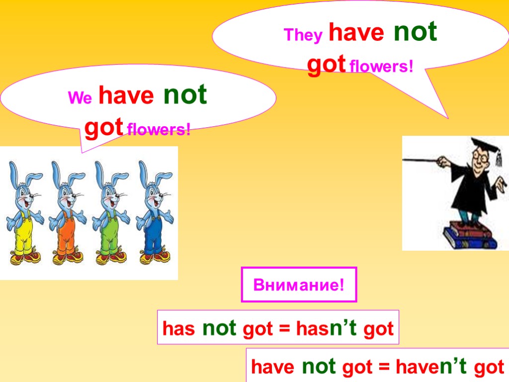 глагол to have got (иметь) Презентация для использования