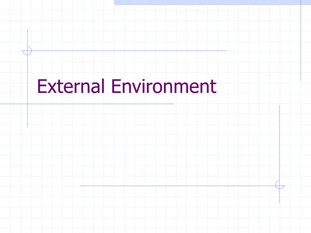 External Environment. External Environment Thus far our discussion