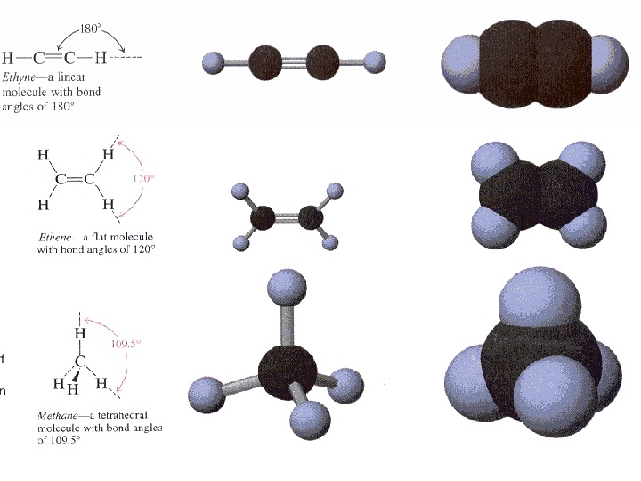 THEME: Introduction of bioorganic chemistry. Classification, structure,