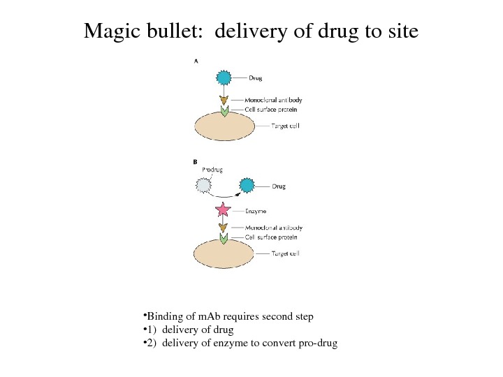 Medical Biotechnology Insulin — první gen biotech