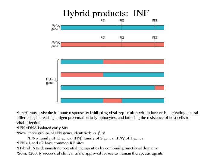 Medical Biotechnology Insulin — první gen biotech
