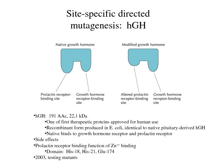 Medical Biotechnology Insulin — první gen biotech