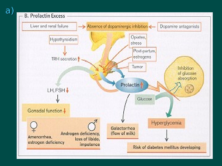 DISORDERS OF ENDOCRINE SYSTEM Prof. J. Hanáček