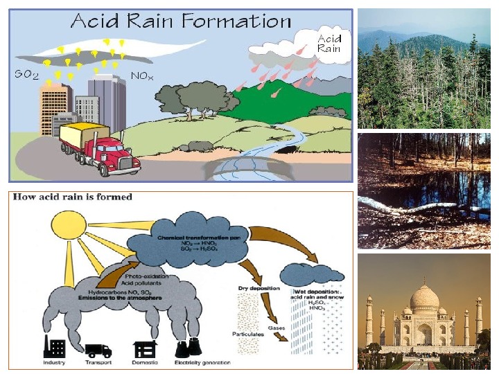 ECONOMICS and MANAGEMENT OF NATURAL RESOURCES Lecture 1