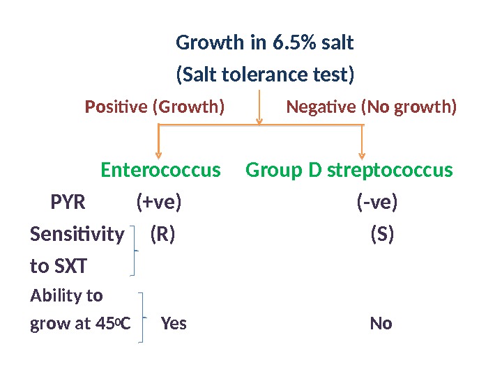 IDENTIFICATION OF PATHOGENIC BACTERIA IN CLINICAL MICROBIOLOGY LABORATORY