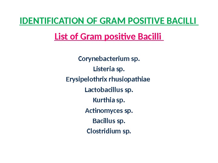 IDENTIFICATION OF PATHOGENIC BACTERIA IN CLINICAL MICROBIOLOGY LABORATORY