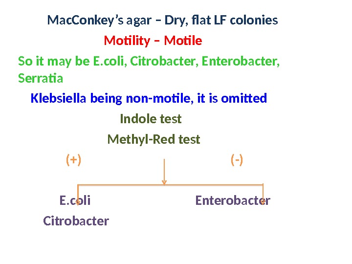 IDENTIFICATION OF PATHOGENIC BACTERIA IN CLINICAL MICROBIOLOGY LABORATORY