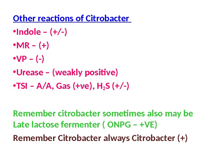 IDENTIFICATION OF PATHOGENIC BACTERIA IN CLINICAL MICROBIOLOGY LABORATORY