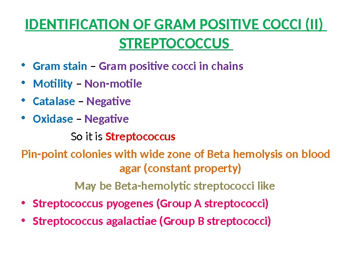 IDENTIFICATION OF PATHOGENIC BACTERIA IN CLINICAL MICROBIOLOGY LABORATORY