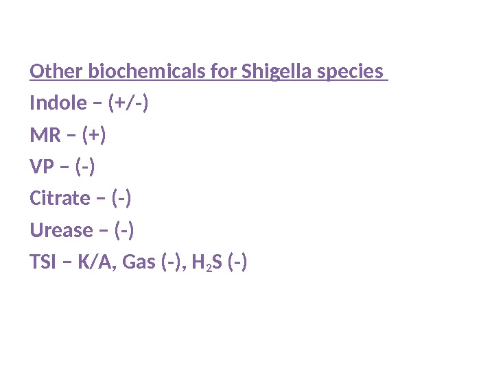 IDENTIFICATION OF PATHOGENIC BACTERIA IN CLINICAL MICROBIOLOGY LABORATORY