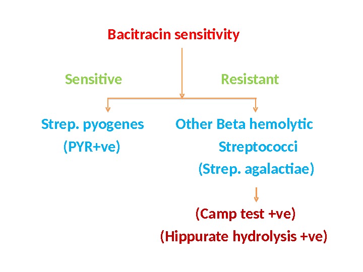 IDENTIFICATION OF PATHOGENIC BACTERIA IN CLINICAL MICROBIOLOGY LABORATORY