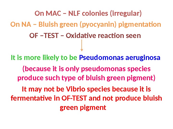 IDENTIFICATION OF PATHOGENIC BACTERIA IN CLINICAL MICROBIOLOGY LABORATORY
