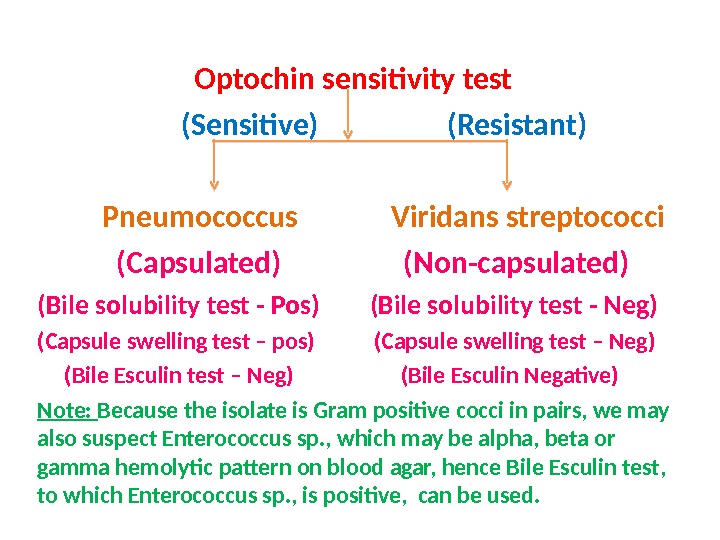 IDENTIFICATION OF PATHOGENIC BACTERIA IN CLINICAL MICROBIOLOGY LABORATORY