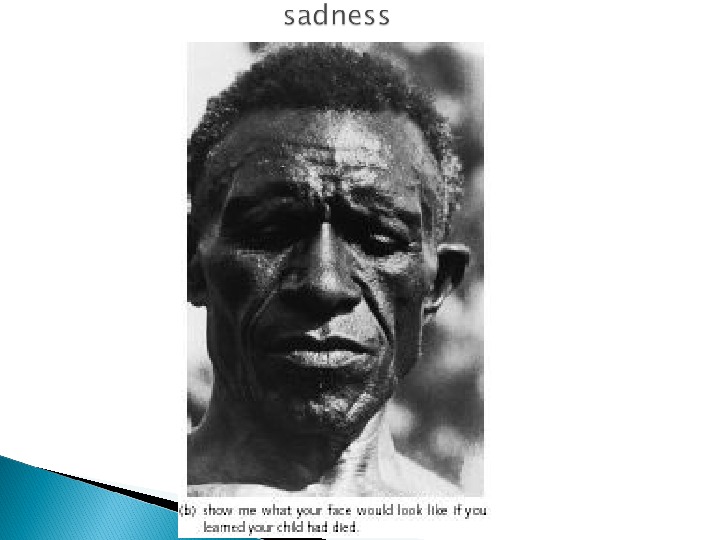 Lecture 4 Carroll Izard and