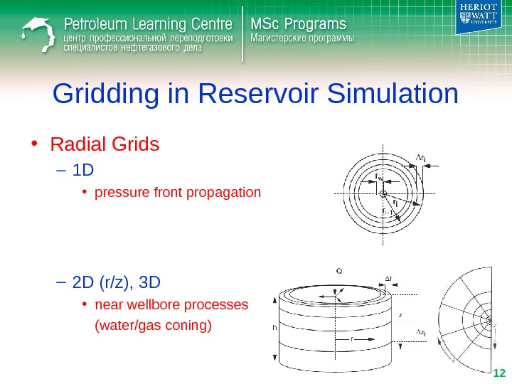 Reservoir Simulation Gridding and Well Modelling Sergey Kurelenkov