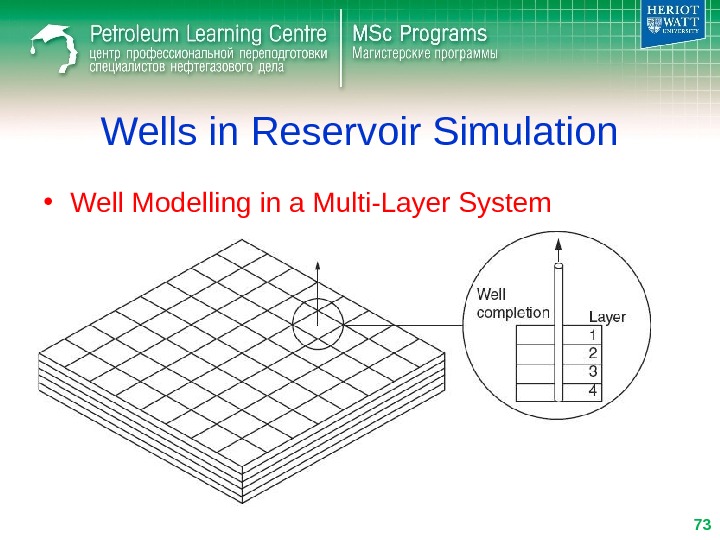 Reservoir Simulation Gridding and Well Modelling Sergey Kurelenkov