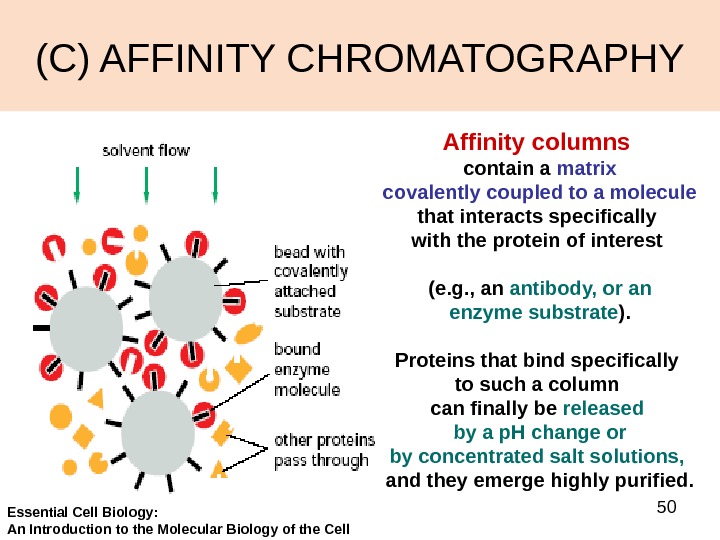 1 Gene Expression Systems in Prokaryotes and Eukaryotes