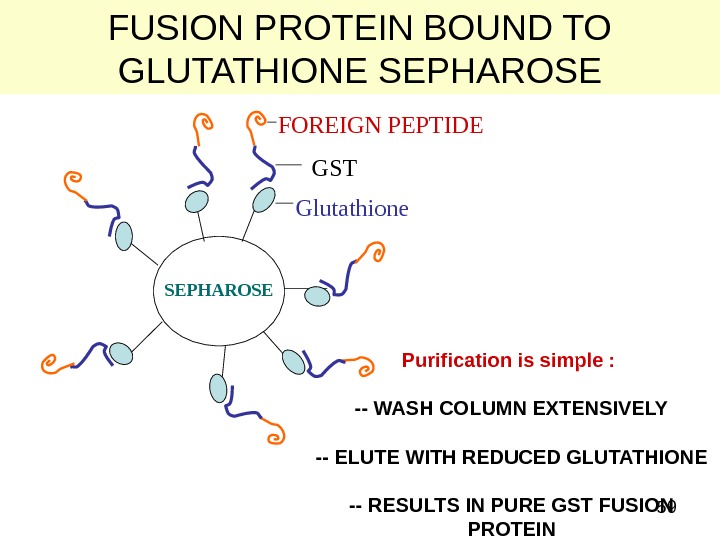 1 Gene Expression Systems in Prokaryotes and Eukaryotes