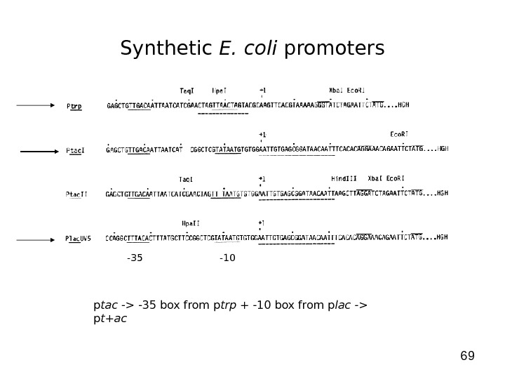1 Gene Expression Systems in Prokaryotes and Eukaryotes