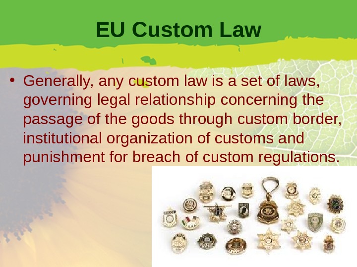 Antitrust and Custom Law EU Antitrust Law