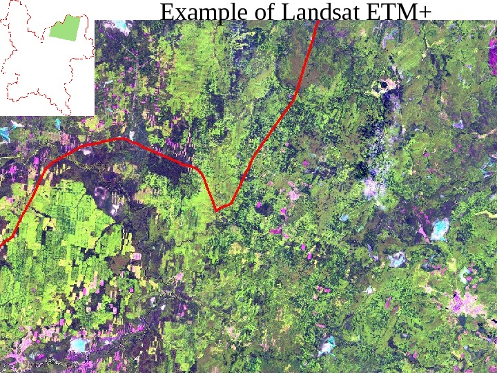 Regional Scale Forest Mapping With Medium Resolution Satellite