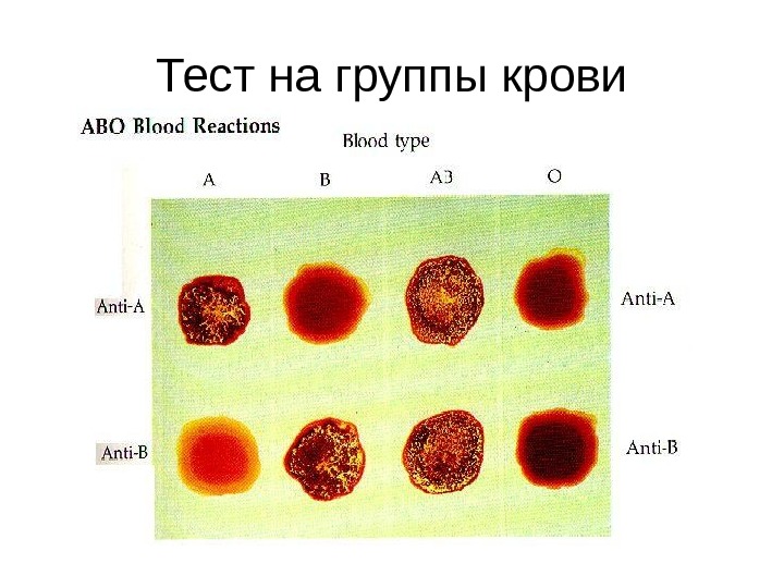 Презентация Антитела-ФЛ