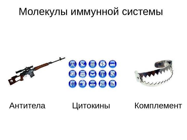 Презентация Антитела-ФЛ