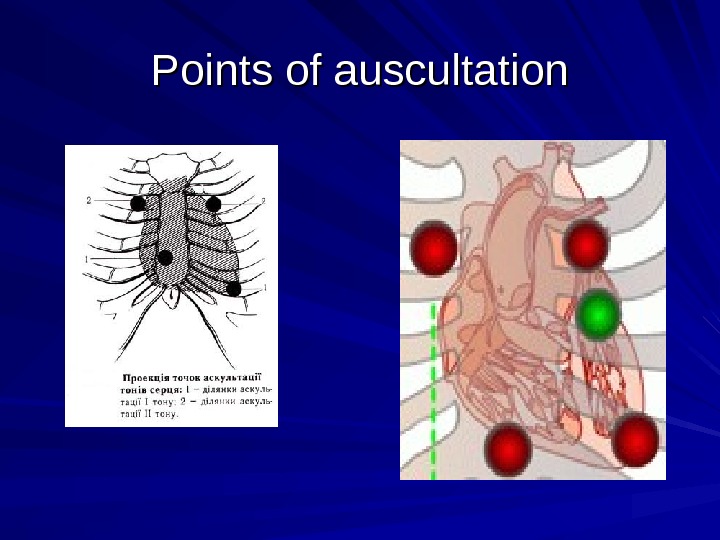 Презентация auscultation heart