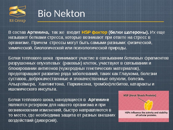 Bio Nekton Природный источник Артемина www. esgcompany. ru