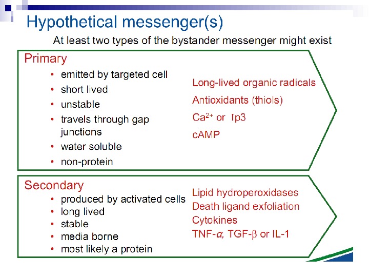BYSTANDER EFFECT The bystander effect refers