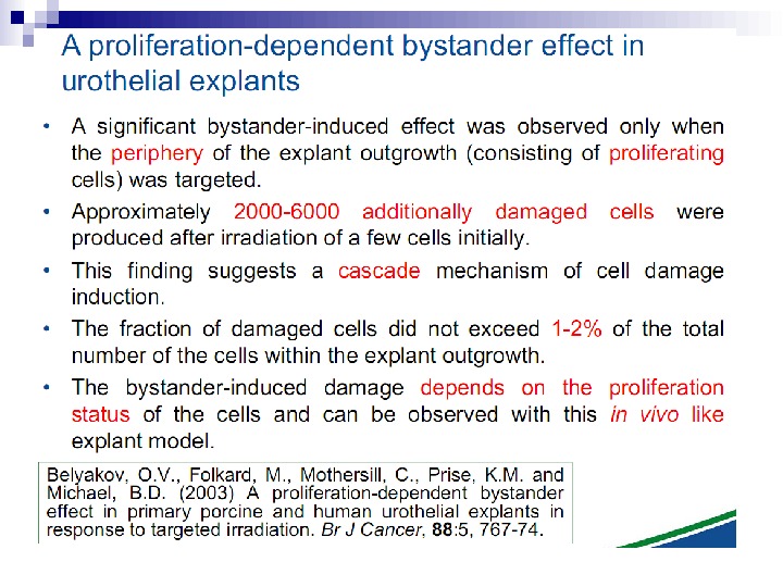 BYSTANDER EFFECT The bystander effect refers