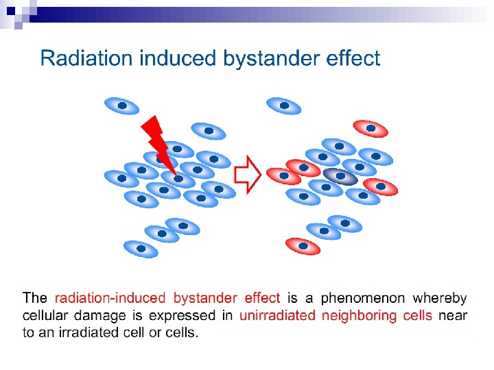 BYSTANDER EFFECT The bystander effect refers
